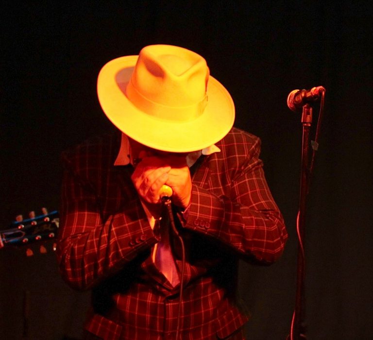 Beginners Learning Path – Harp Surgery