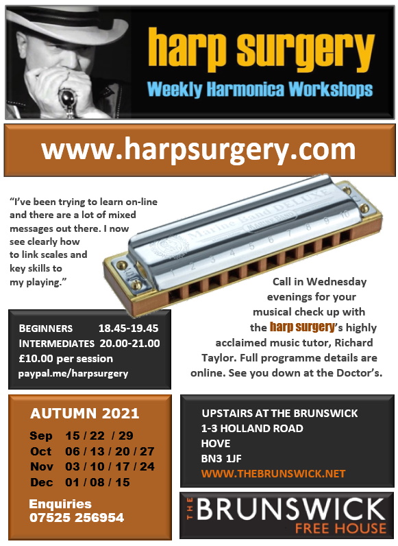Workshops – Harp Surgery